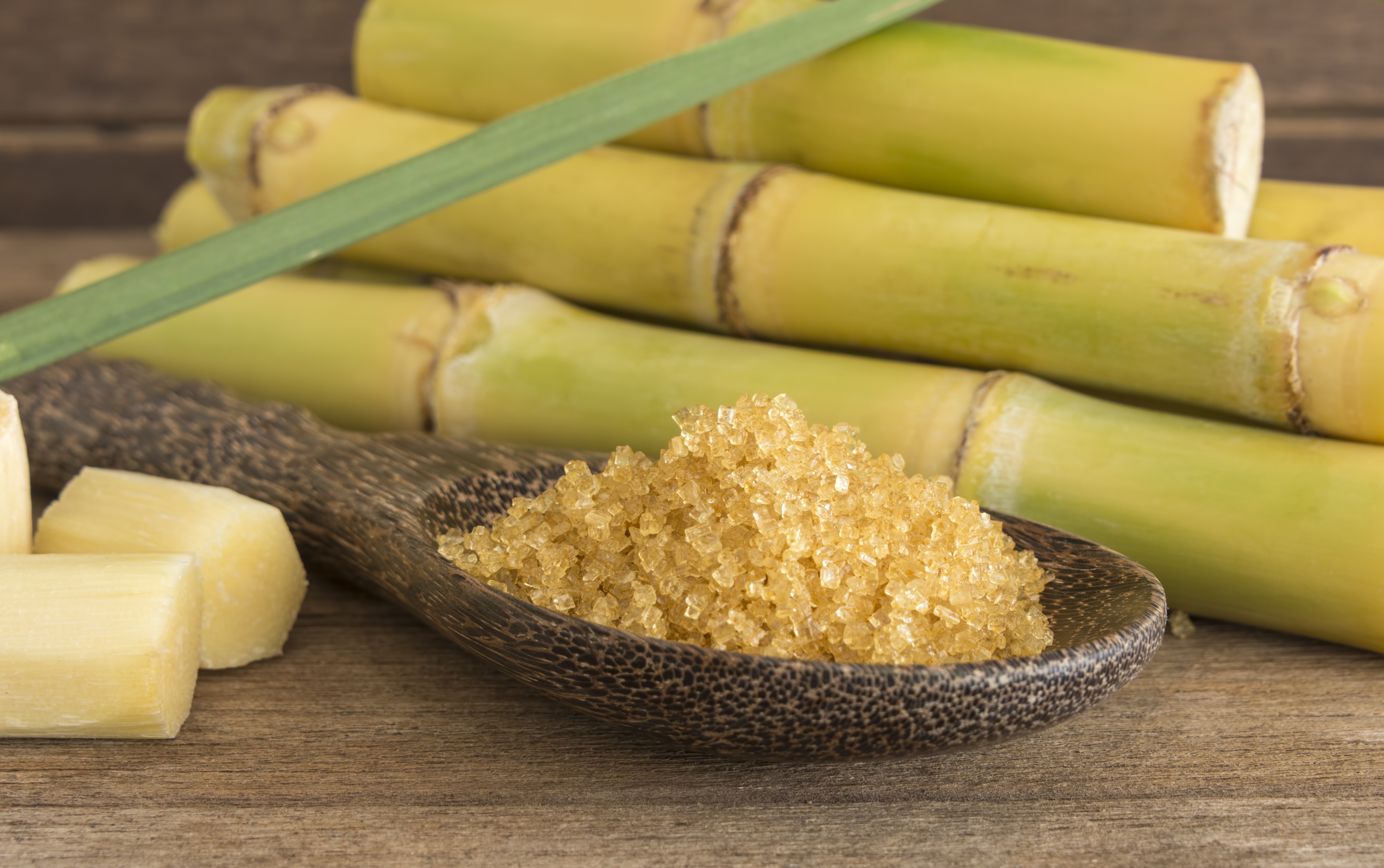 Prestigioso evento realizará el sector azucarero en el país. » ANDI