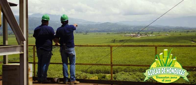 Caña de azúcar de Honduras promoviendo la generación de empleo | ANDI ...